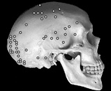 A shot to the head – Mind Hacks
