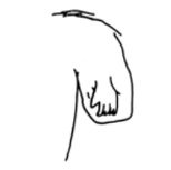 A multitude of phantoms – Mind Hacks